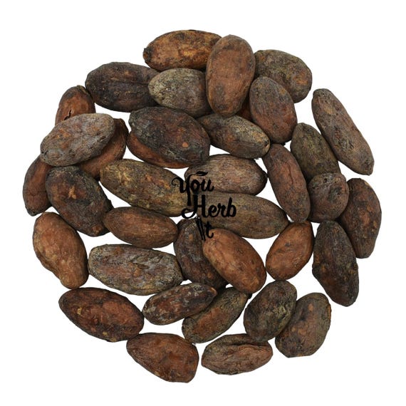 Organic Raw Criollo Whole Cacao Beans Theobroma Cacao
