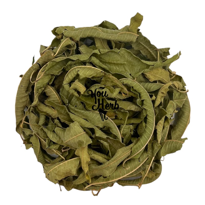 Lemon Verbena Dry Leaf - Etsy UK