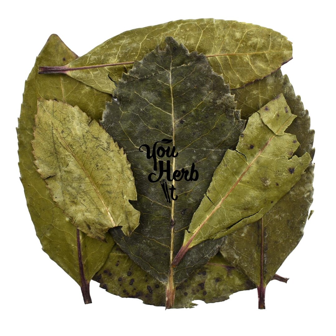 Strawberry Tree Dried Whole Leaves Herbal Tea - Arbutus Unedo - Etsy
