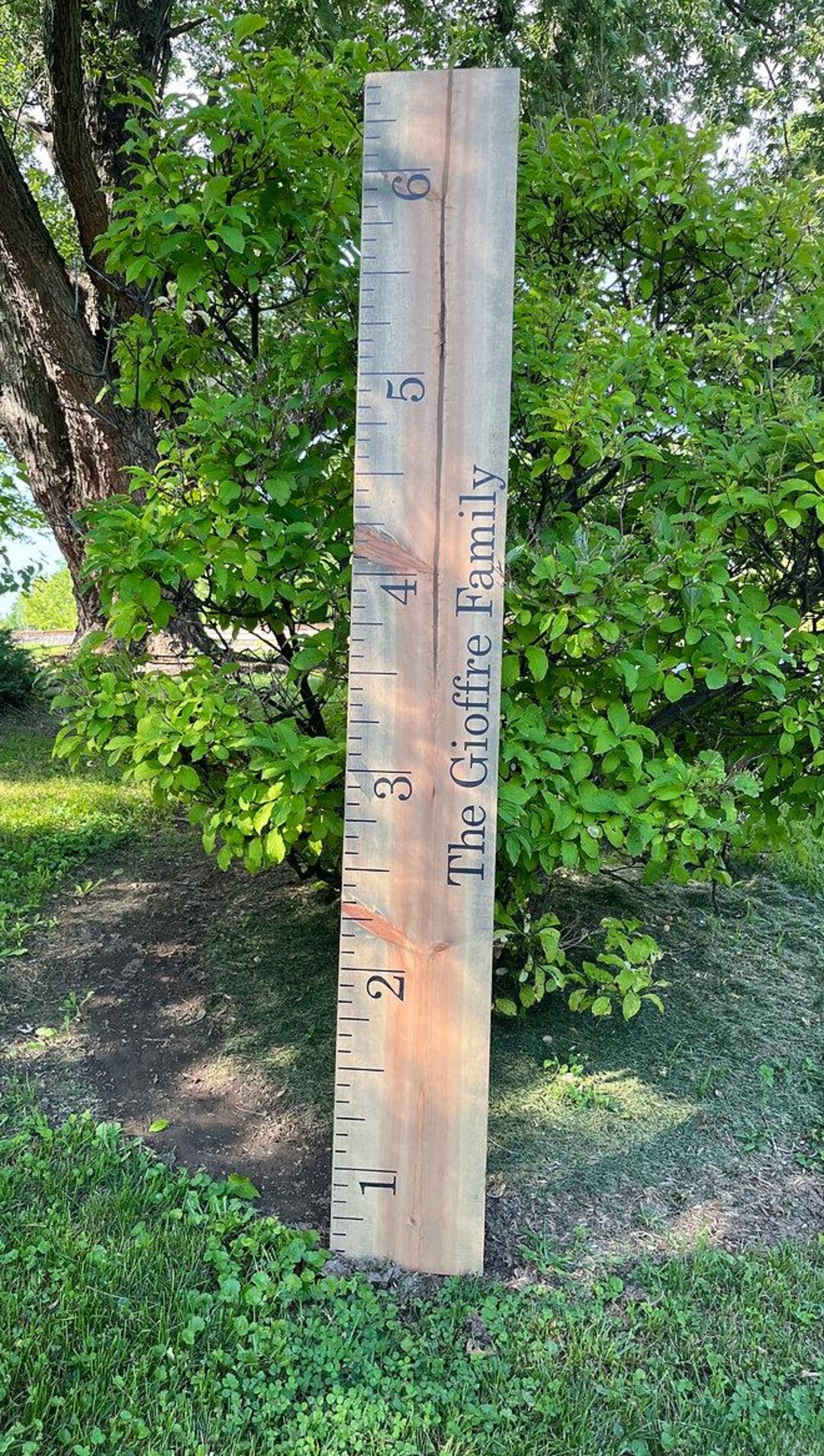 Growth Chart Ruler - Etsy