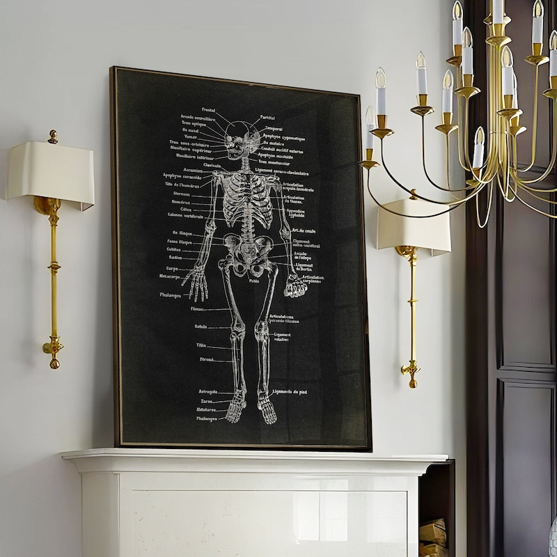 Skeleton Poster - Etsy
