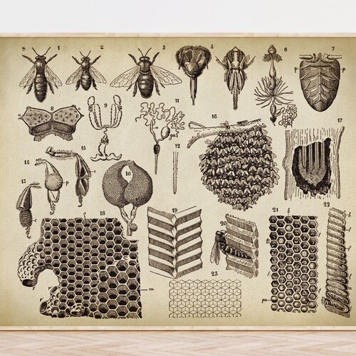 Rusty Metal Honey Bee Rusty Insect Pagan Garden Gift - Etsy