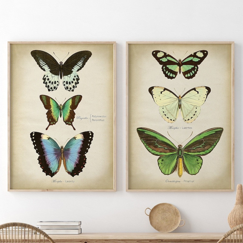 Butterfly Print - Etsy