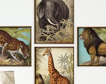 Safari Art Prints. Vintage Safari Nursery Art. Safari - Etsy