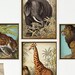 Vintage ANIMALS PRINT Set of 4, Wild Jungle Animals Poster, Lion ...