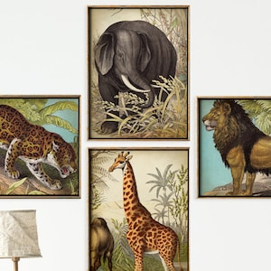 Vintage ANIMALS PRINT Set of 4, Wild Jungle Animals Poster, Lion ...