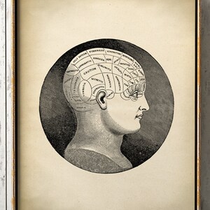 Anatomy Phrenology Print, Vintage Phrenology, Poster, Medical Wall Art ...