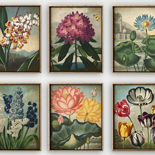 Botanical Print SET of 6 Art Prints Flower Posters Set | Etsy