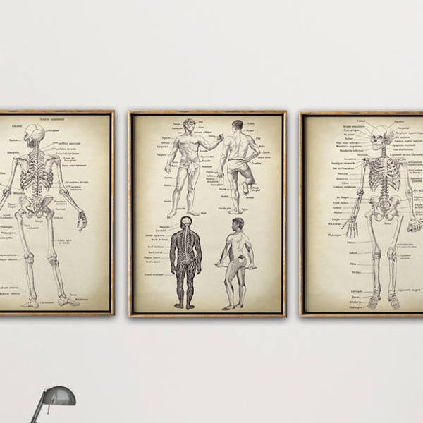 Meridian Poster - Etsy
