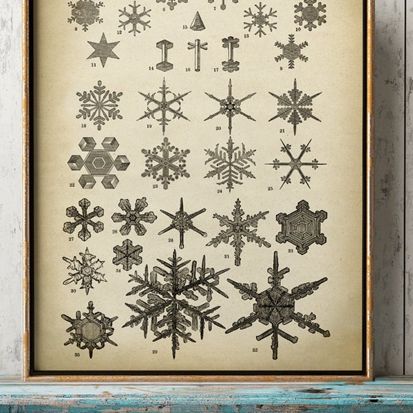 Snowflake Print - Etsy