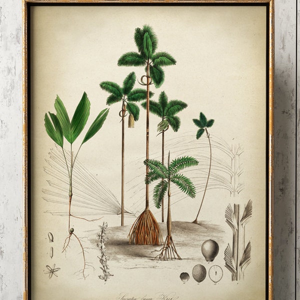 Palm Tree Poster - Etsy