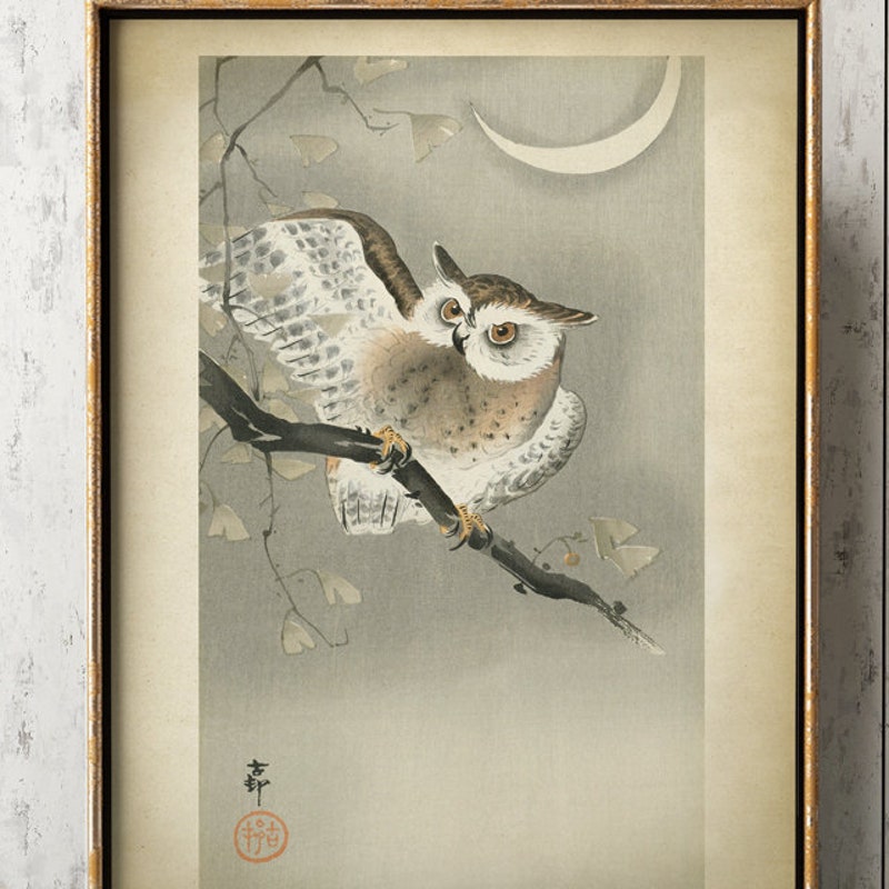 Japan Owl - Etsy
