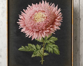 Flower poster | Etsy