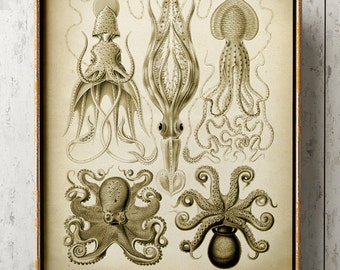 Squids Poster Octopus Print Cuttlefish Wall Decor Marine | Etsy