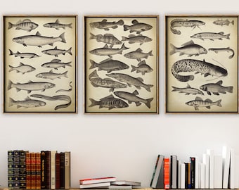 FISH Print SET of 2 Fish Charts Fish Poster Fish | Etsy