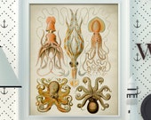 Squids Poster Octopus Print Cuttlefish Wall Decor Marine - Etsy