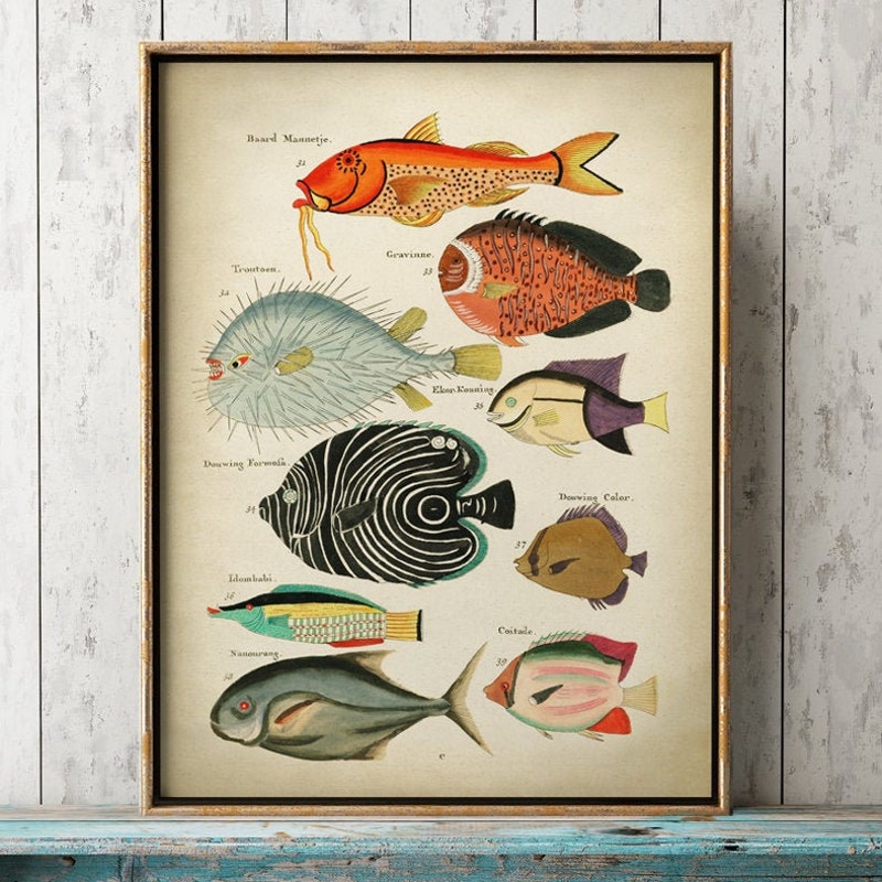 Fish Poster - Etsy