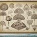 FAN Print, Fan Art Poster on Black, Fan Poster, Fan Wall Art, Fan Art ...