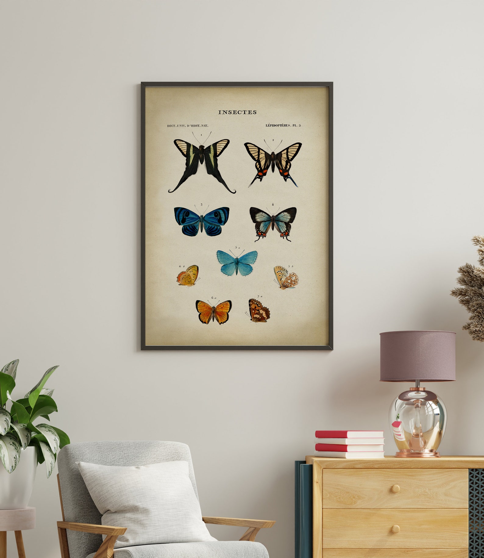 Butterflies Poster Lepidopteres Chart Insects Insectes - Etsy