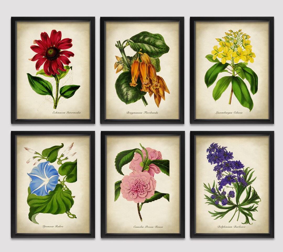RAINBOW BOTANICAL Print Set of 6 Art Prints, Colorful Flowers Print Set ...