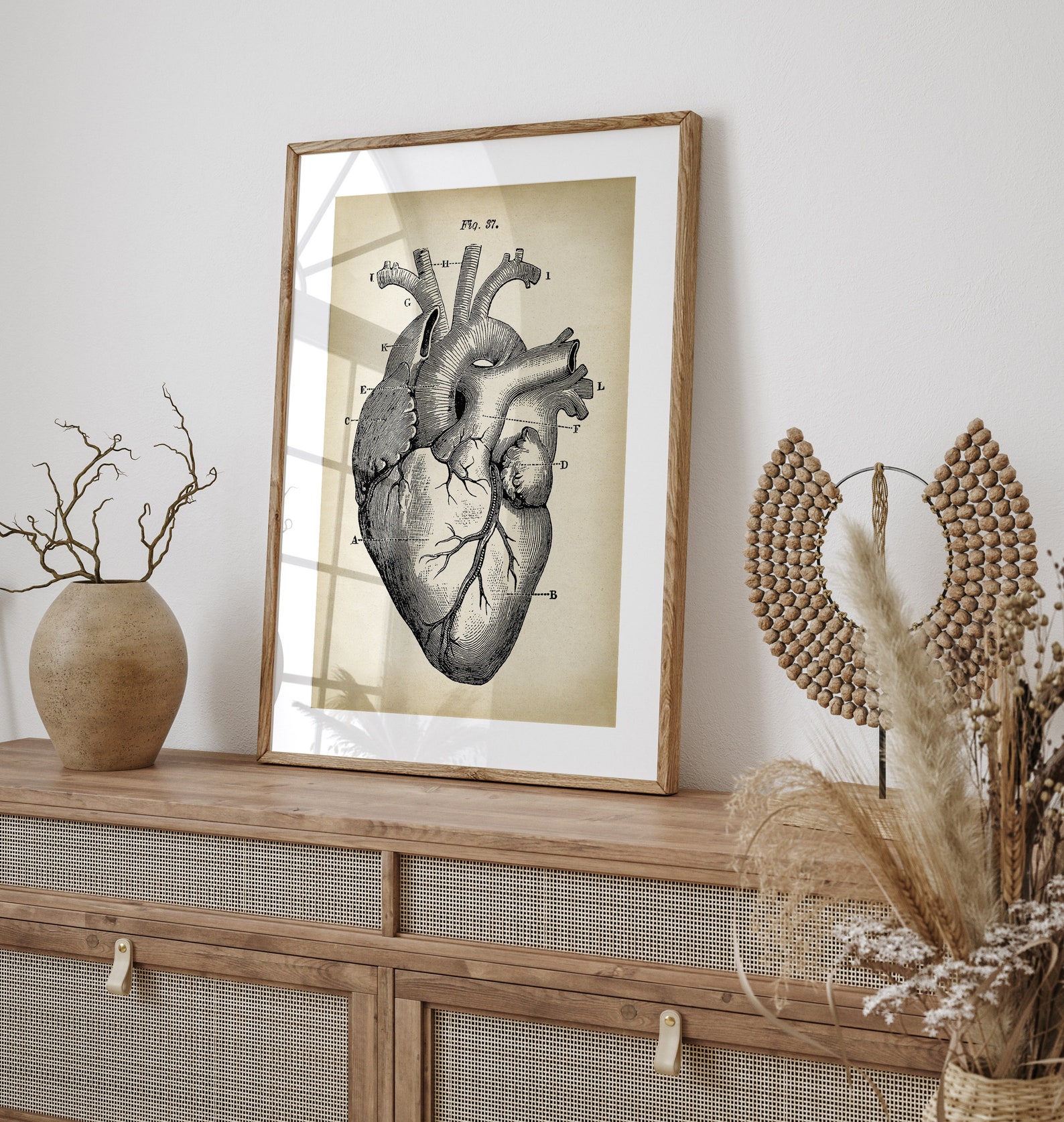 Heart Anatomy Print Heart Print Anatomical Drawing Anatomy - Etsy