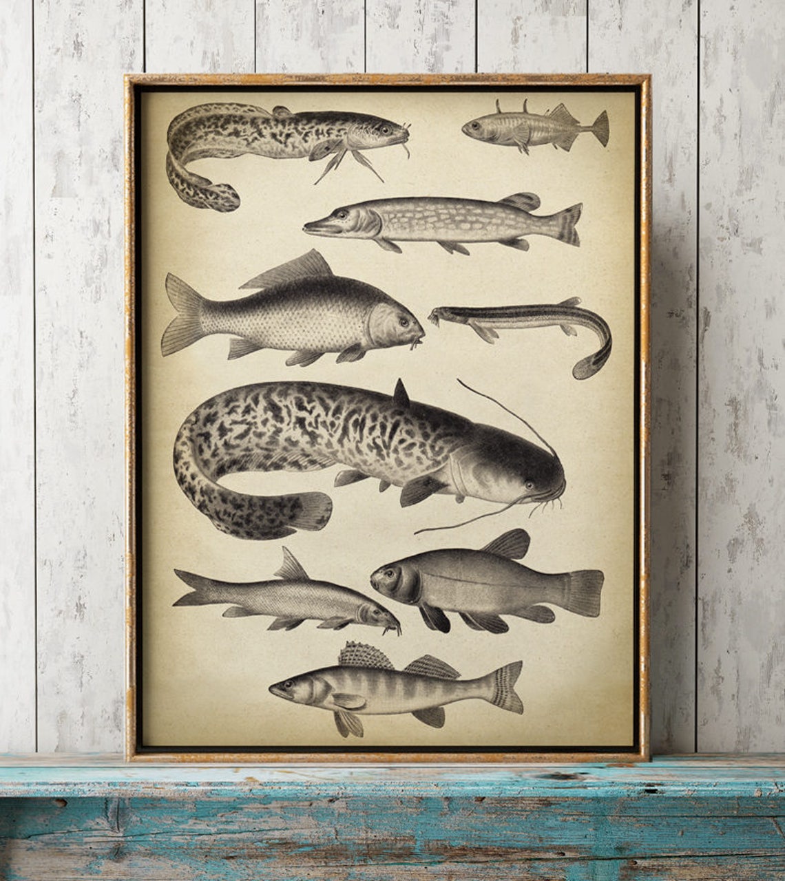 FISH Print SET of 2 Fish Charts Fish Poster Fish | Etsy