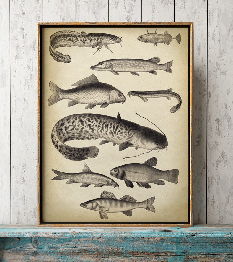FISH Print SET of 2 Fish Charts Fish Poster Fish | Etsy