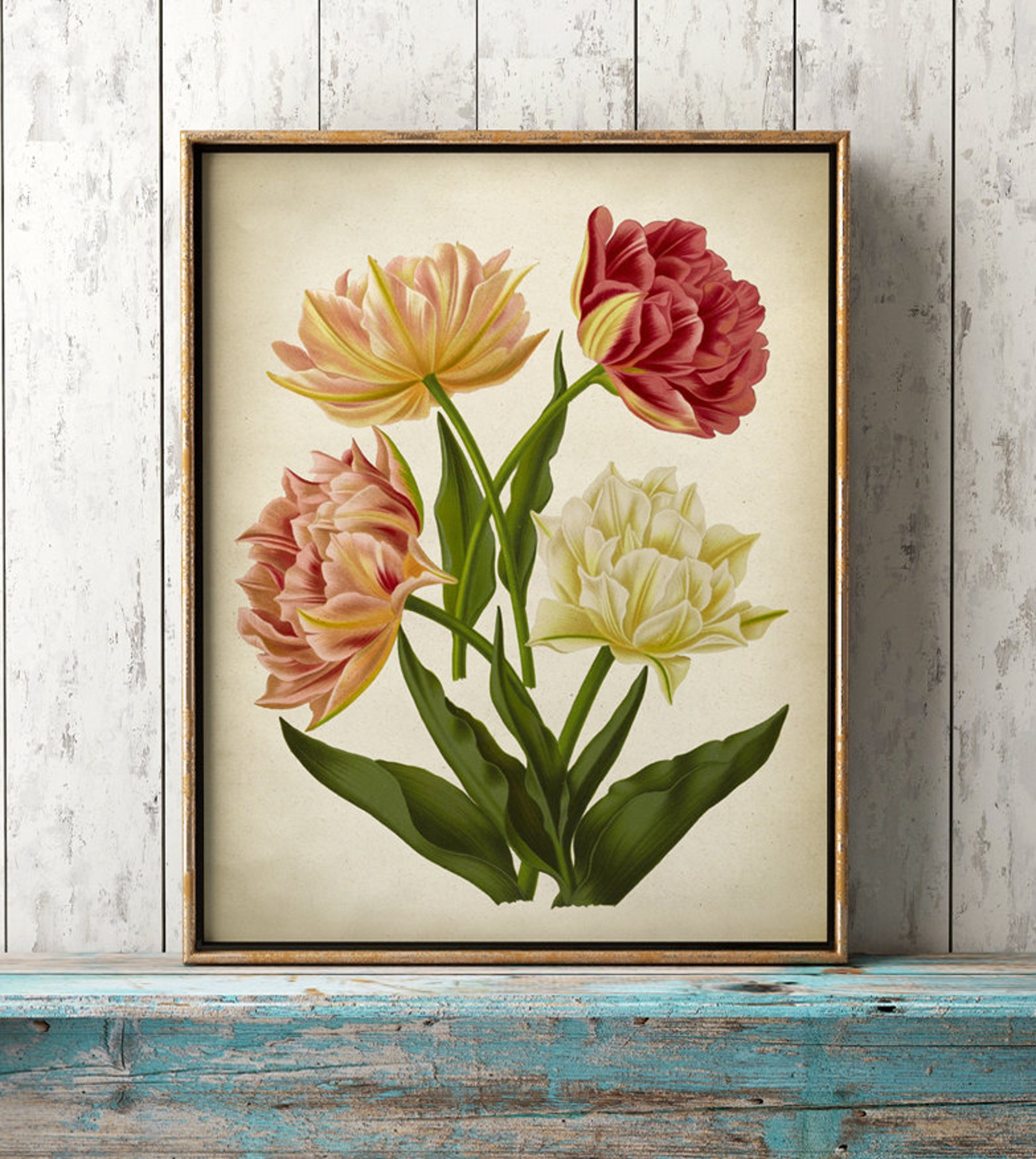 BOTANICAL Poster Tulip Flowers Print Tulips Botanical Print - Etsy