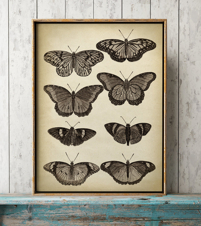 Butterfly Print Set of 3 Butterfly Poster Butterfly Print - Etsy