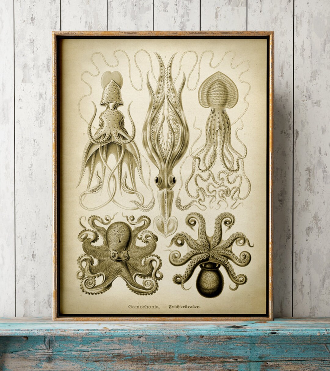 Octopus Poster , Squid Print, Cuttlefish Wall Decor, Coastal Decor ...