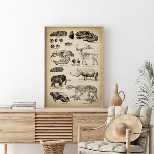 Mammoth Prehistoric Animal Poster Dinosaur Skeleton - Etsy