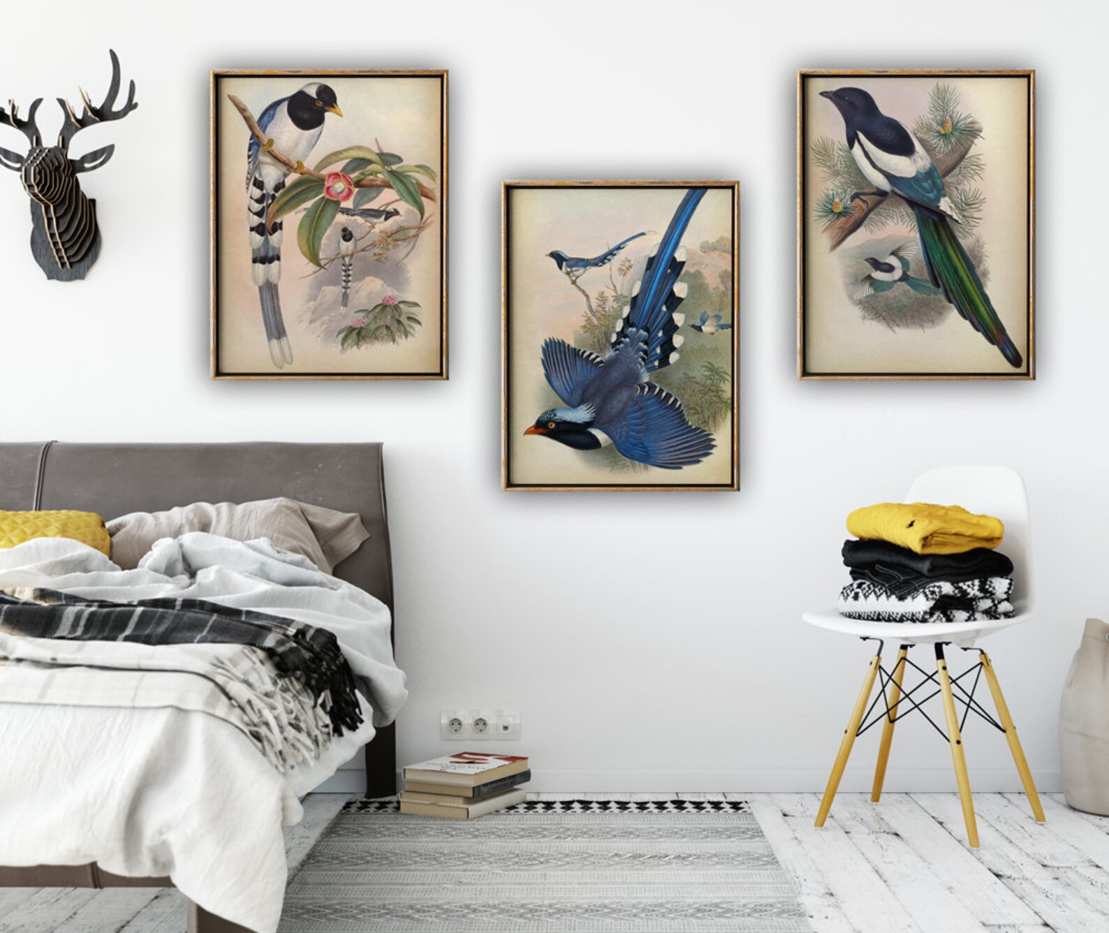 TROPICAL BIRD Print SET of 3 Exotic Bird Poster Blue Bird - Etsy