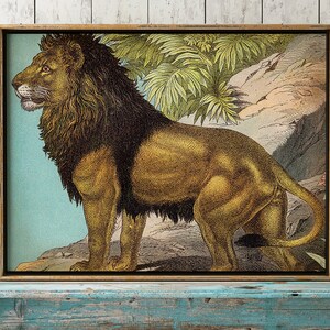 Vintage ANIMALS PRINT Set of 4, Wild Jungle Animals Poster, Lion ...