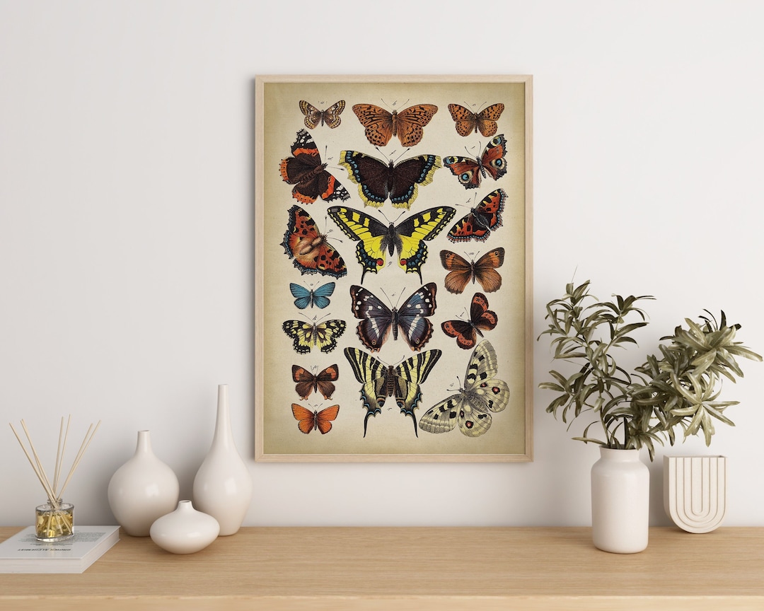 Butterfly Poster, Butterfly Print, Butterflies Wall Decor, Scientific ...
