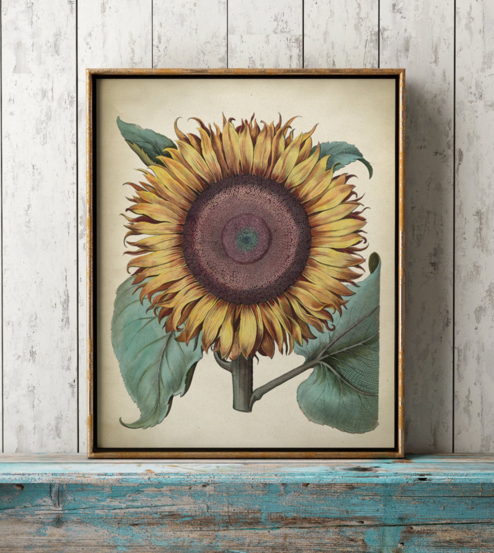 Sunflower BOTANICAL Print Sunflower Poster Flower Art - Etsy