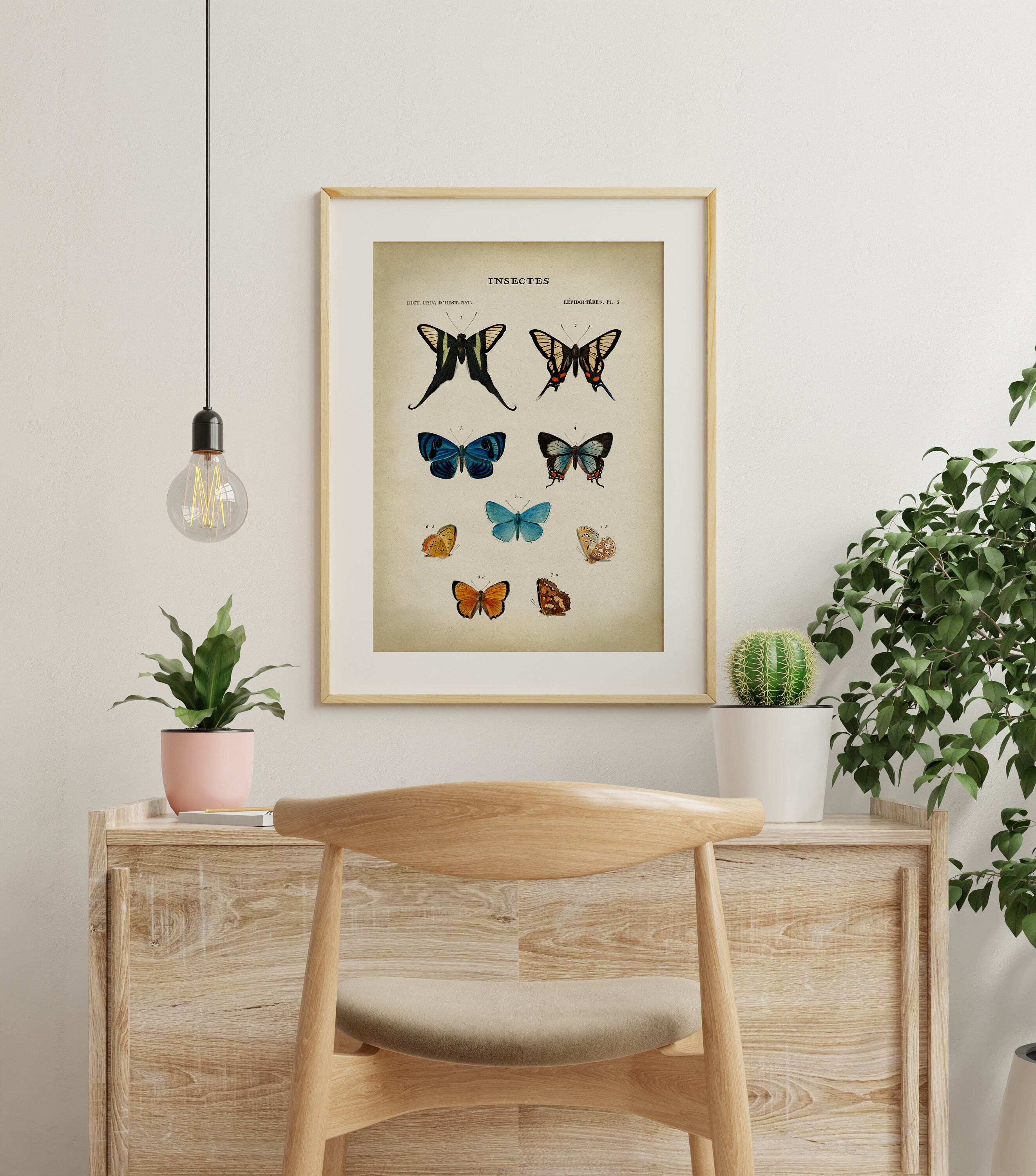 Butterflies Poster Lepidopteres Chart Insects Insectes - Etsy