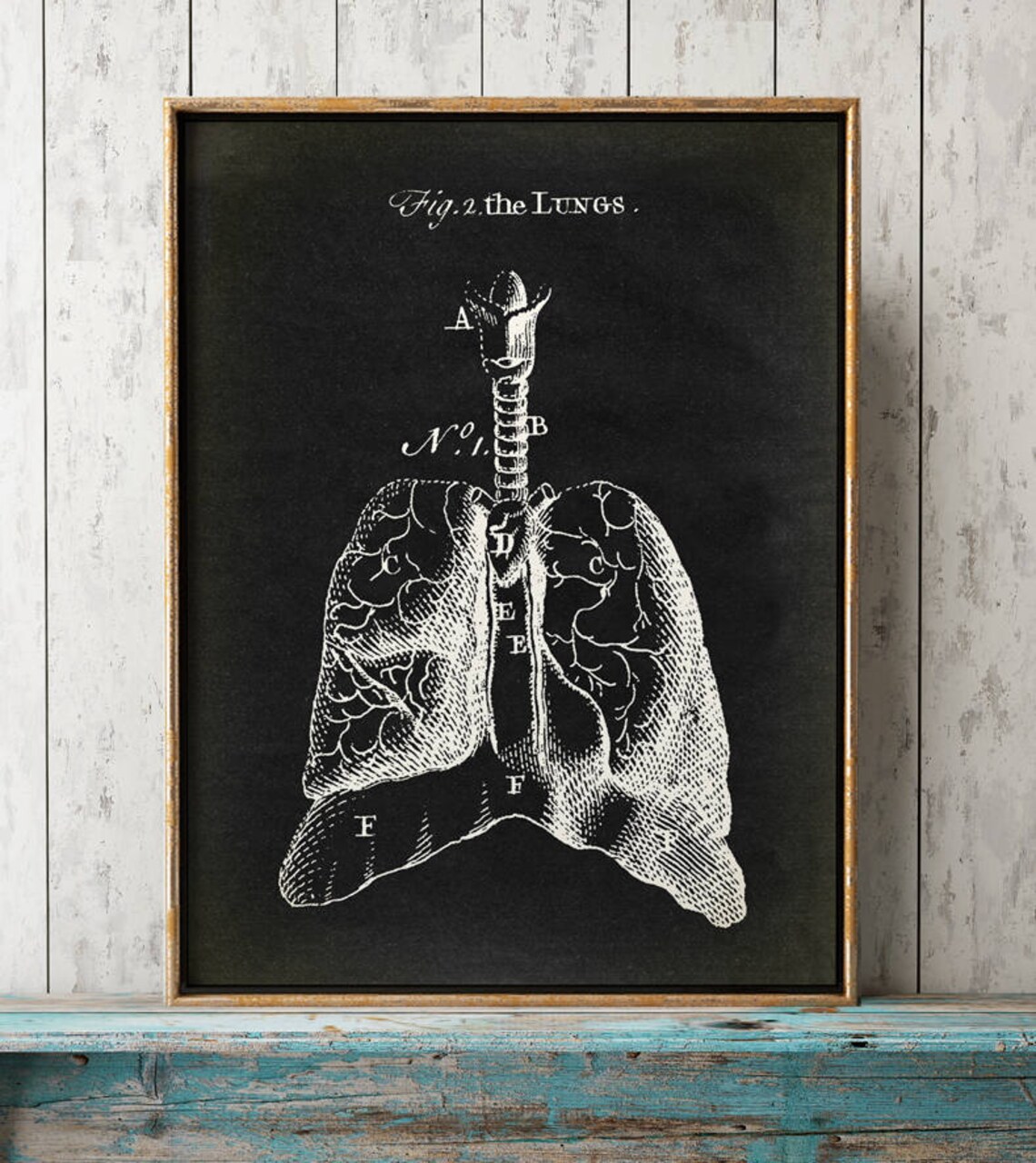 ANATOMY PRINT SET of Four Anatomy Charts Anatomy Poster - Etsy