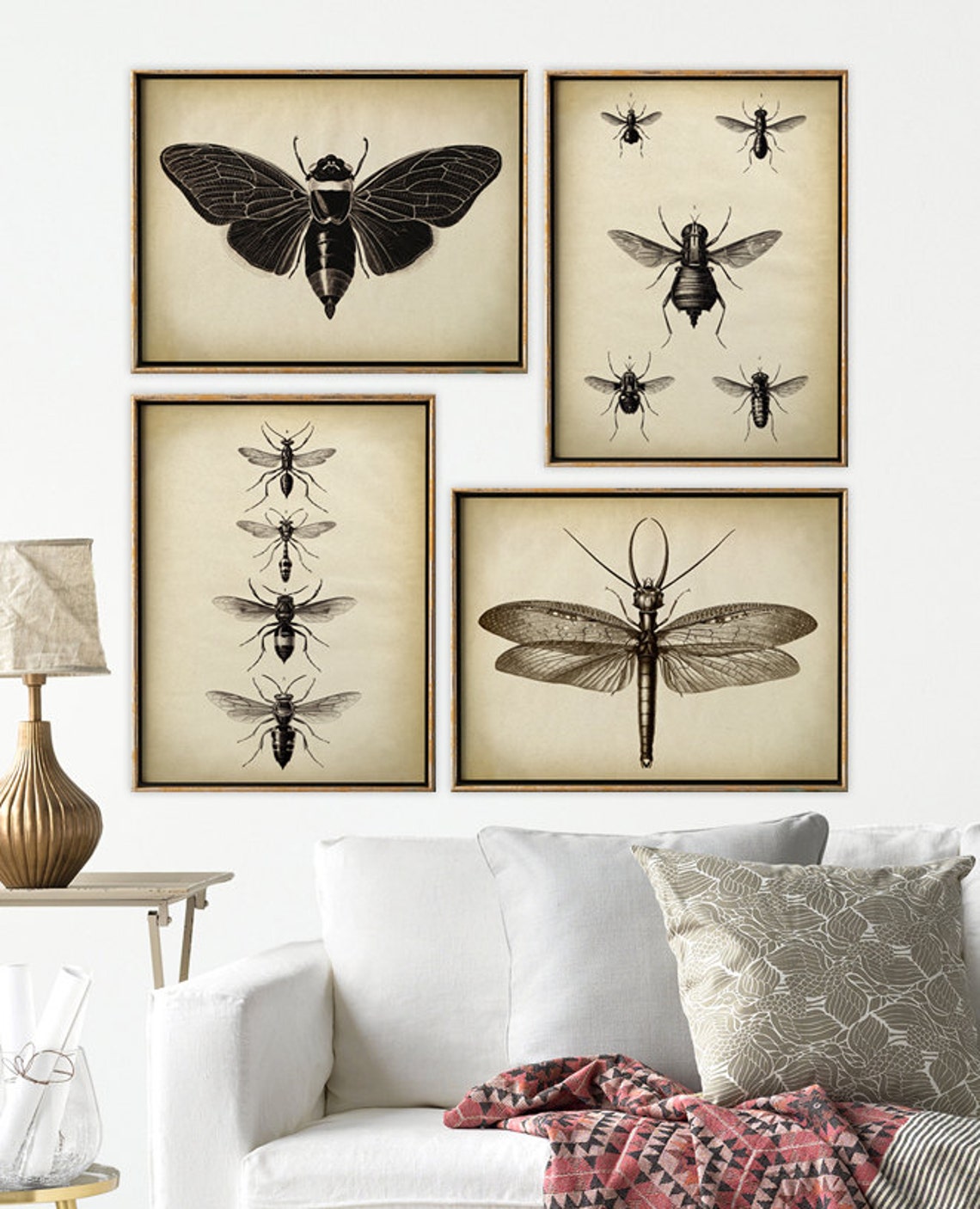 INSECT PRINT SET of 4 Insect Prints Insect Poster Bee Wasp | Etsy