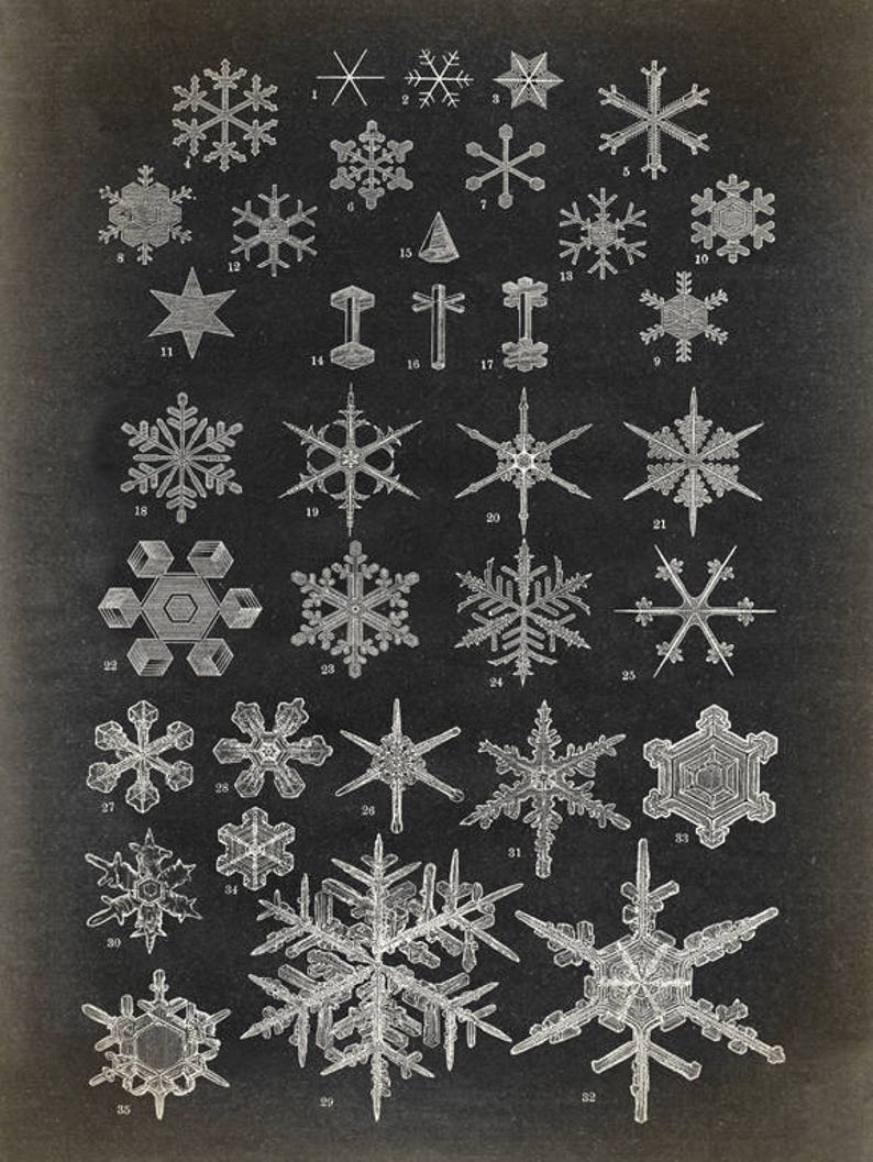SNOWFLAKE Print Flake of Snow Print Snowflake Forms - Etsy