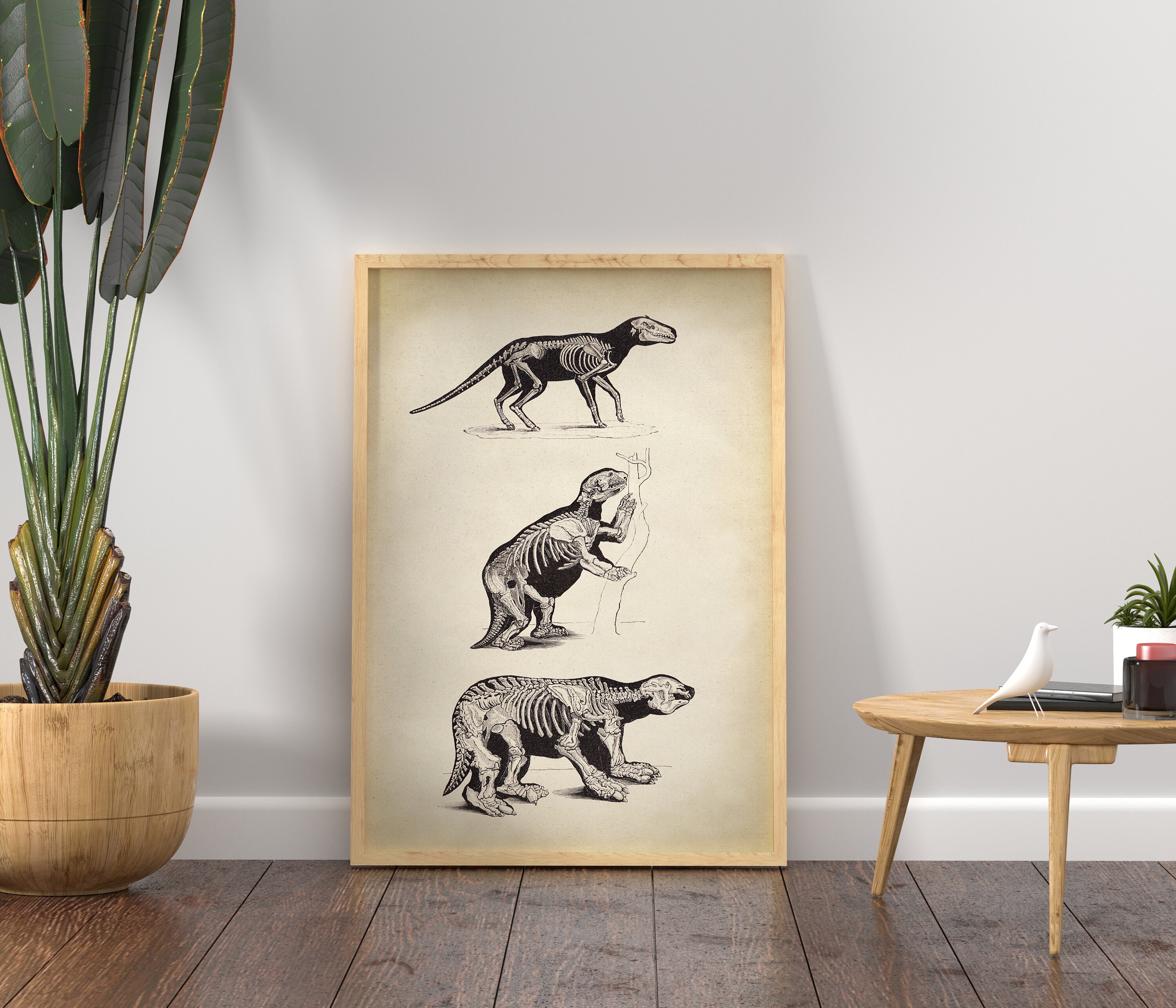 Megatherium Art Print Extinct Animal Skeleton Antique Style | Etsy