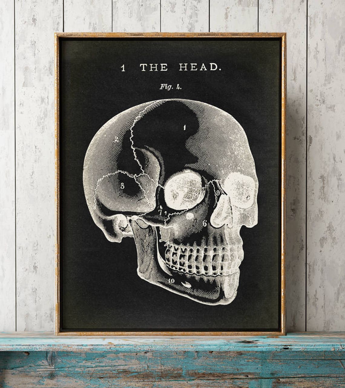 ANATOMY PRINT SET of Four Anatomy Charts Anatomy Poster | Etsy