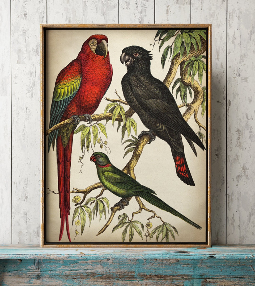 Tropical Parrots Poster, Exotic Bird Print, Cockatoo Print, Parakeet ...