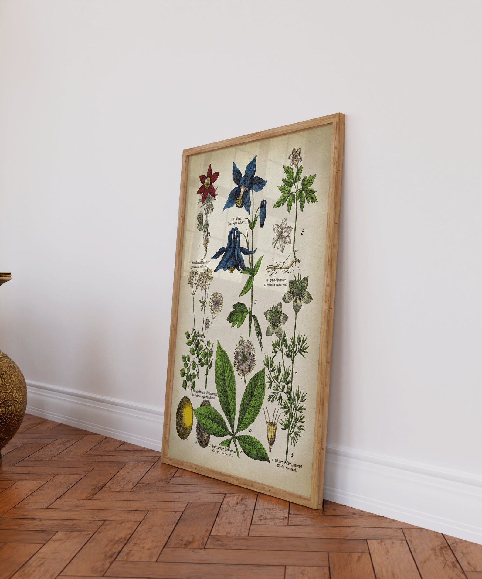 Botanical Poster Plants and Flowers Print Botanical Print - Etsy