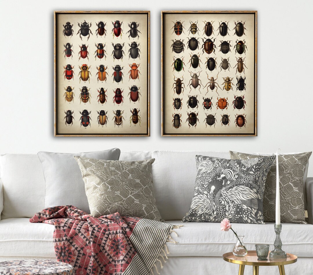 INSECT PRINT SET of 2, Insect Poster, Beetle Set, Beetle Prints ...
