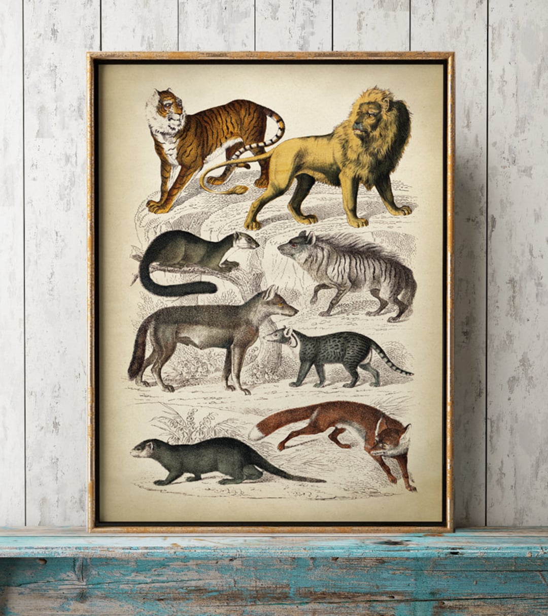 WILD ANIMALS Poster, Forest Animal Print, Animal Picture, Lion Print ...