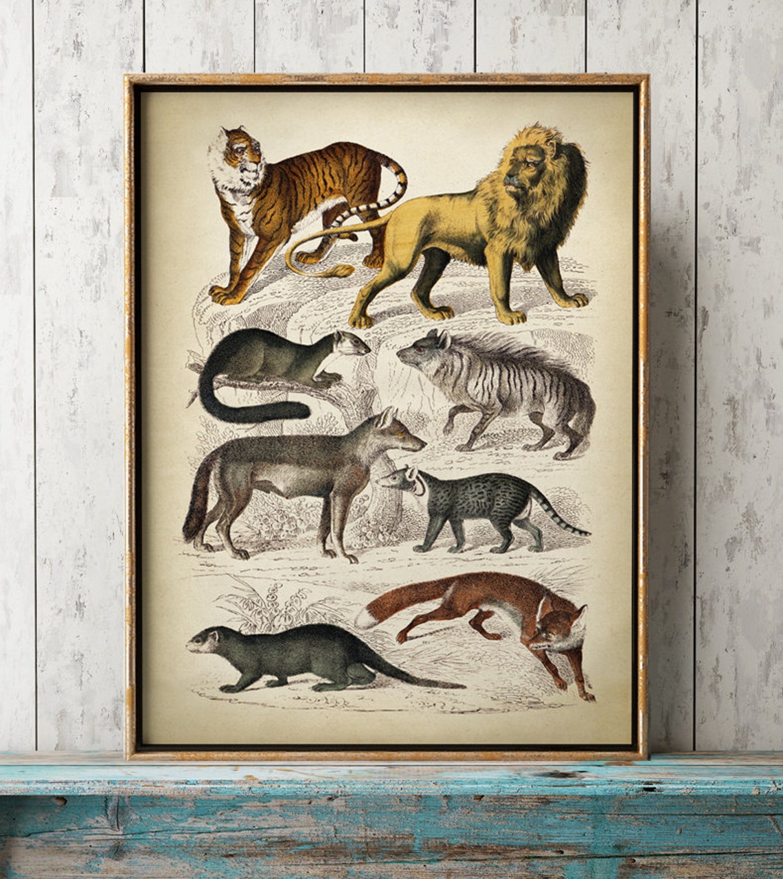 WILD ANIMALS Poster Forest Animal Print Animal Picture Lion - Etsy