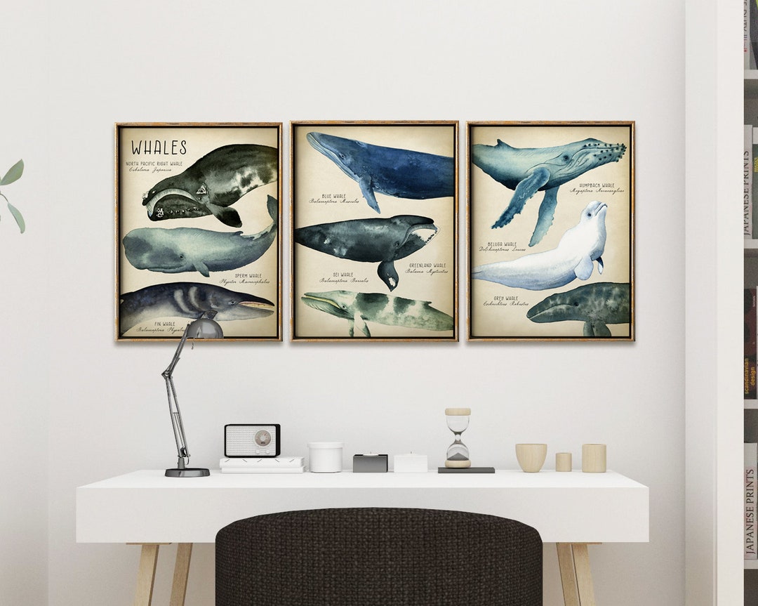 Watercolor Whale Print SET of 3, Whales Set Poster, Coastal Wall Decor ...