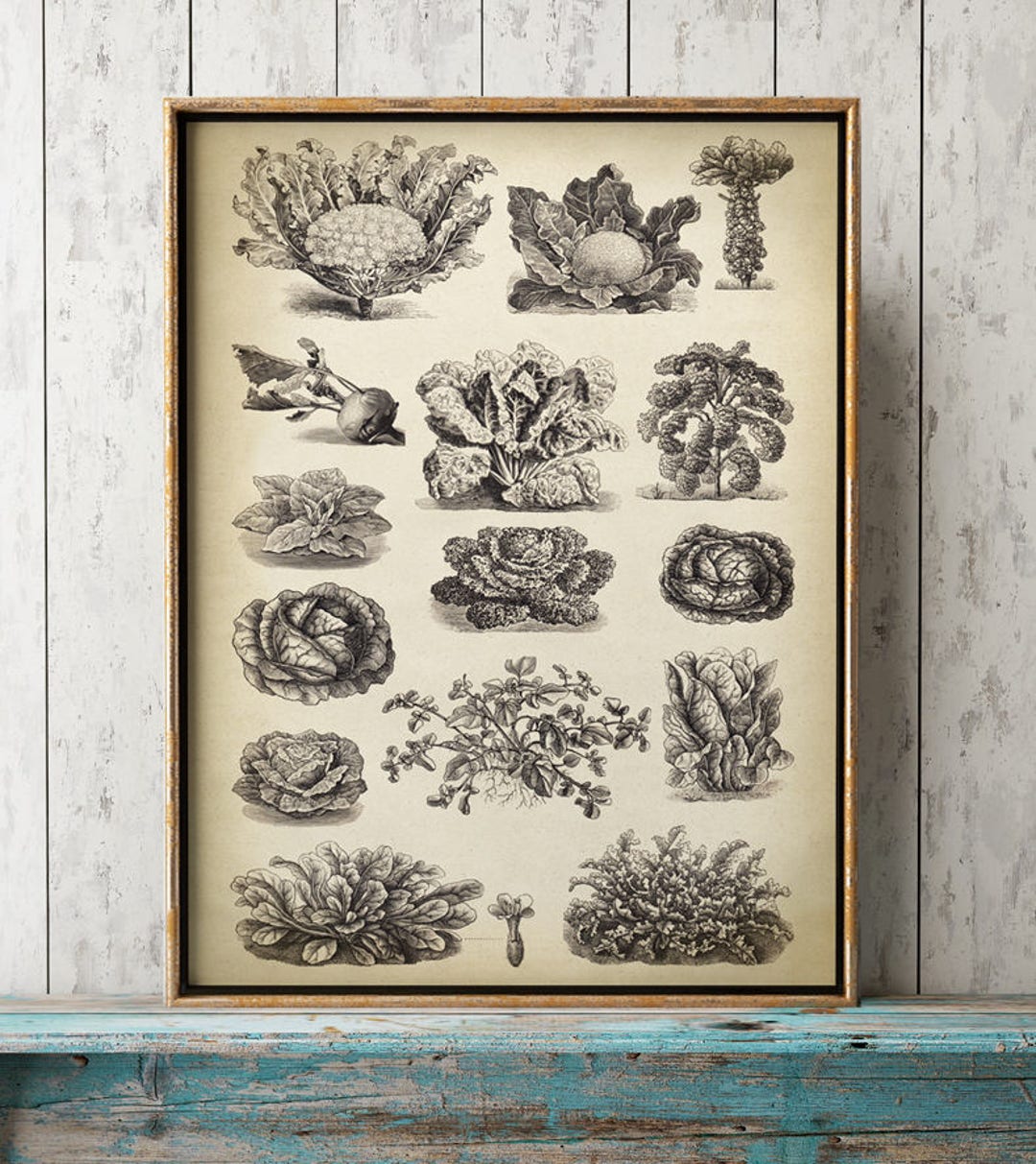 Vegetables Botanical Print: Vintage Horticulture Chart Poster - Etsy