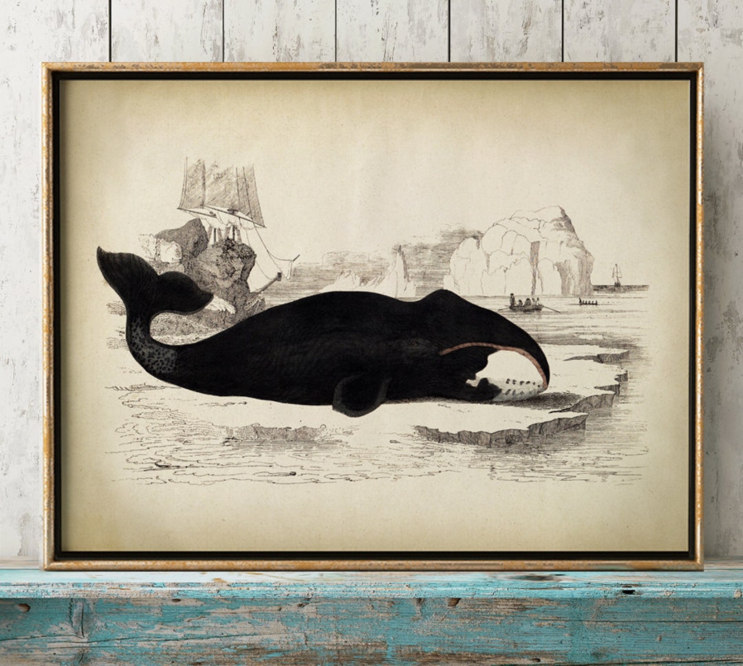 Whales Print, Whale Poster, Marine Decor, Beach Home Wall Decor, Shore ...