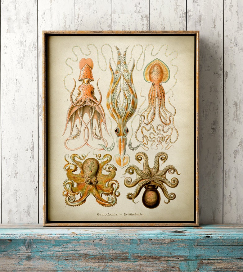 Squids Poster Octopus Print Cuttlefish Wall Decor Marine | Etsy